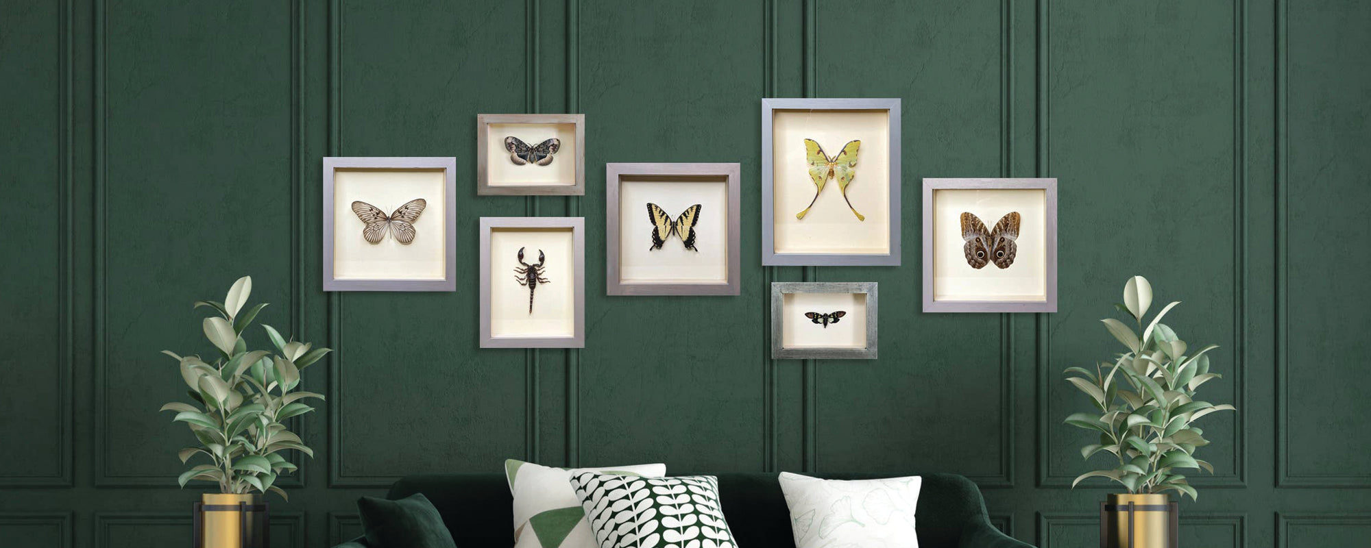 Wall Art – Asterfields