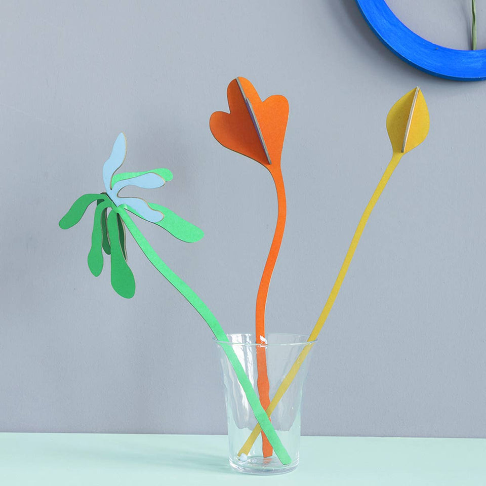 Vibrant accessories for body, home and the space in between. – Asterfields